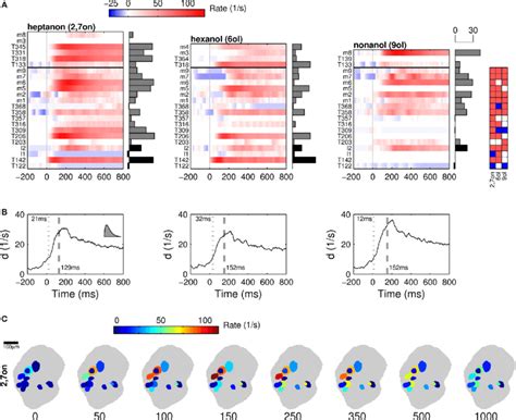 Population Rate Code In Projection Neuron Ensembles A Rate Download Scientific Diagram