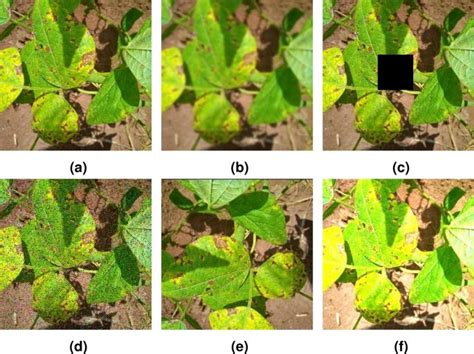 Eric Feuilleaubois Phd On Linkedin A Classification Method For Soybean Leaf Diseases Based