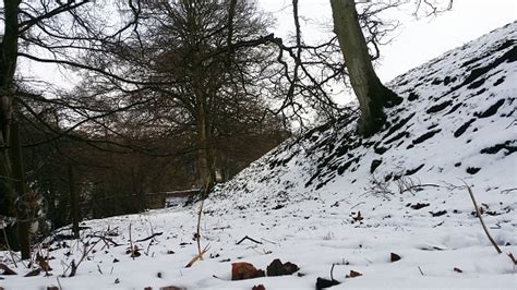 아름 다운 하얀 눈과 숲 속의 시냇물 겨울의 악 크 엥가 딘 데 일 노스 요크 셔 0명에 대한 스톡 사진 및 기타 이미지 0명 겨울 경관 Istock