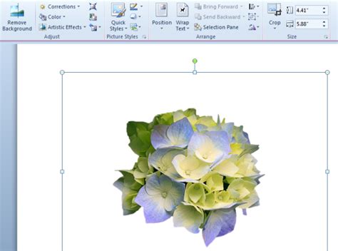Remove Image Background In Ms Office Easy Steps