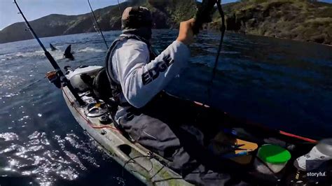 ‘f This Terrified Kayaker Stalked By Great White Shark Livenow
