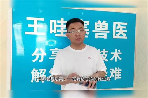 母猪产后瘫痪的原因及治疗母猪产后站不起来是怎么回事怎么办