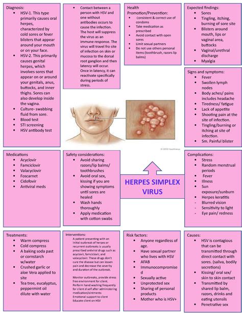 Herepes Simplex Virus Cm Herpes Simplex Virus Risk Factors Anyone Regardless Of Age Have