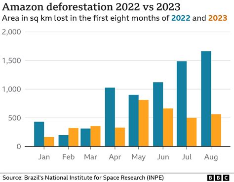 Amazon Rainforest Deforestation Graph