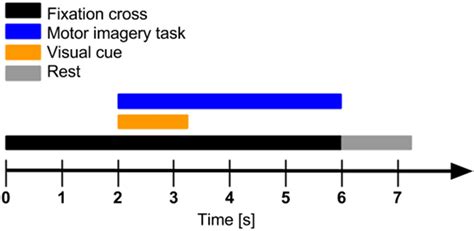 Temporal Sequence Of A Single Trial During The Execution Of The