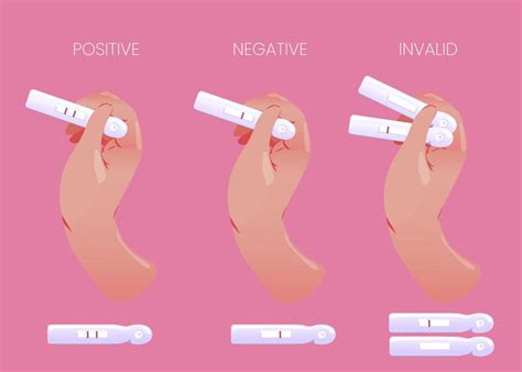 Set Of Pregnancy Test With Different Results 17349758 Vector Art At