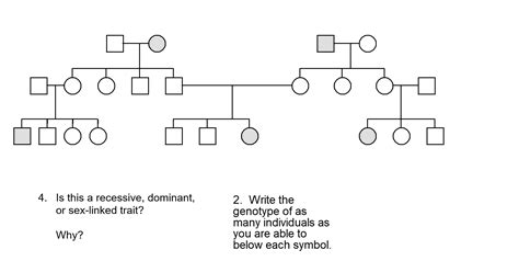 Solved POO Is This A Recessive Dominant Or Sex Linked Chegg Com