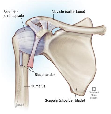 Symptoms Stages And Treatment For Frozen Shoulder Learn More