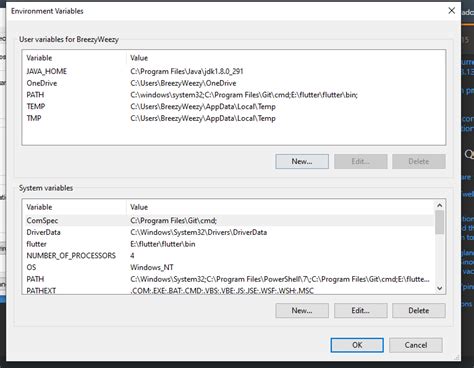 Exception Cannot Run Program Eflutterflutterbinflutterbat