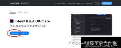 Jdk11idea安装第一个简单java程序测试 Csdn博客