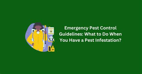 Emergency Pest Control Guidelines Pest Prevention Technique