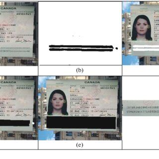 Binary Network Output Download Scientific Diagram
