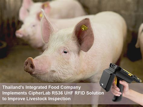 Thailands Integrated Food Company Implements Cipherlab Rs36 Uhf Rfid Solution To Improve Thailands Integrated Food Company Implements Cipherlab Rs36 Uhf Rfid Solution To Improve