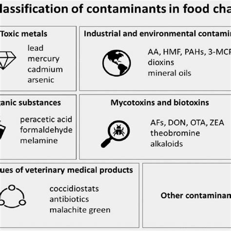 Classification Of Contaminants In The Food Chain On The Basis Of The