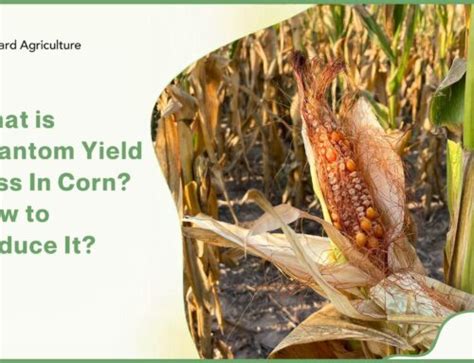 How To Integrate Ignition Scada With Sql Databases For Custom Reports