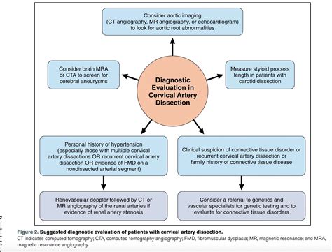 Guideline DissecÇÃo Arterial Aha Stroke 2024 Neurosky