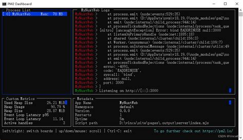 Nuxt3项目服务端bulid后在本地浏览的3种方式（nuxi Preview、nodejs Server、pm2）nuxt3 打包文件