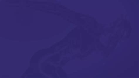 computational neuroscience centre for computational personalized medicine