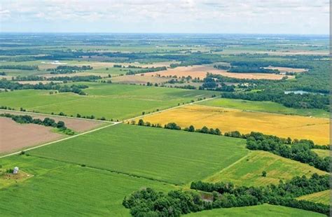 მიწის ნაკვეთის ყიდვა გაყიდვა Facebook