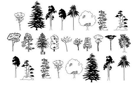 Dwg File Of Tree Block Artofit