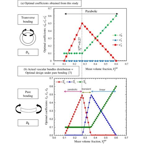 Longitudinal Radial Comparison Of Optimal Coefficients A Optimal