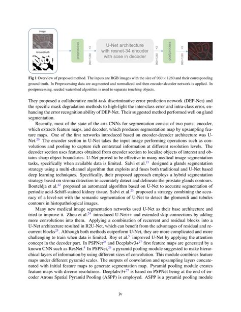 Deep Learning Based Method For Segmenting Epithelial Layer Of Tubules In Histopathological