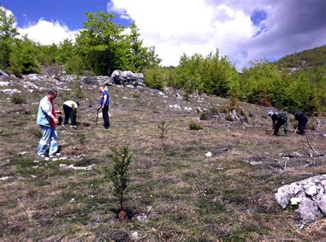 Mladi Ekolozi U Kampanji „mjesec Planete Zemlje“ Tamoiovde