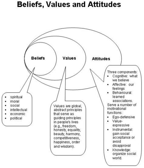 The Relationship Between Beliefs Values Attitudes And Behaviours Psychology Emotional