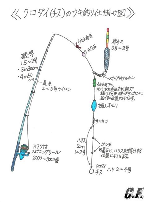 黒鯛 浮き セット