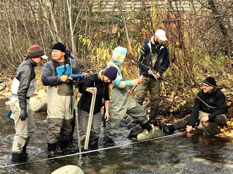Stream And Dna Metabarcoding Living Lakes Canada