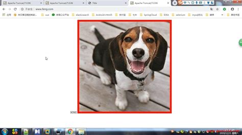 16nginx视频教程nginx实现动静分离java知识分享网 免费java资源下载