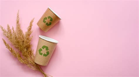 분홍색 배경에 녹색 재활용 기호가있는 두 개의 종이 친환경 일회용 컵 인근에는 마른 잔디꽃다발이 있습니다 환경을 보호하기 위해 생분해성 물질을 사용하는 개념 0명에 대한