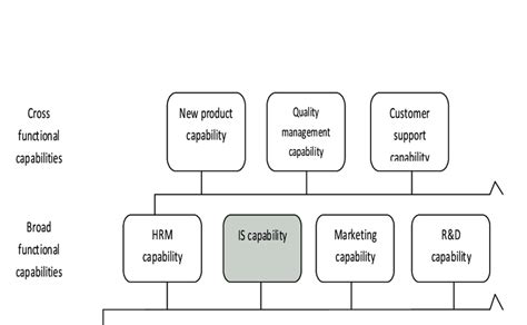The Hierarchy Of Capabilities And The Position Of Is Capability