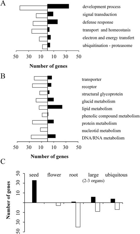 Analyses Of Microarray Data Showing Up Regulated Black And