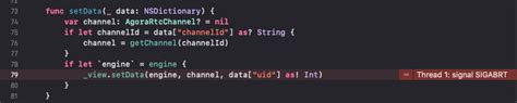 ipad crash without rendering · issue 173 · agoraio extensions agora
