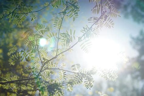 Pin De Aleksei Paw En Л Е Т О«Но твое вечное лето не увянет Шекспир