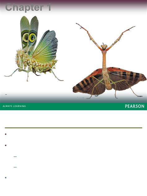 Class Lecture 1 Pdf Cell Biology Eukaryotes