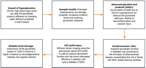 Insights Into Glymphatic System Dysfunction And Glucose Continuum