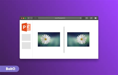 How To Flip An Image In Powerpoint 2 Easy Ways