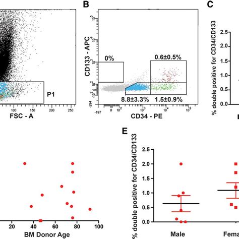 Abundance Of Cd34cd133 Cells In Human Bm Aspirates Flow Cytometry