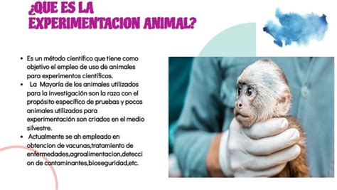 Experimentación Animal Genially
