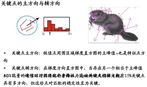 R Cnn、图像特征提取、selective Search、spp Net Cnn学习