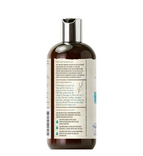 Curlsmith Super Slip Pre Biotic Primer Forester Beauty