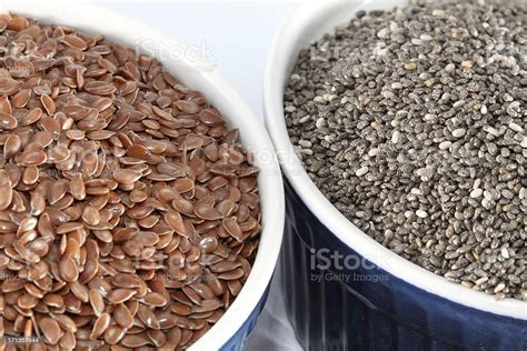 Detail Contoh Gambar Biji Rami Koleksi Nomer 4