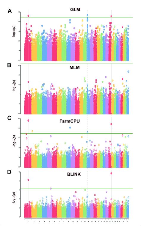 The Manhattan Plot For The Gwas Of Carcass Weight In The Hawaiian Download Scientific Diagram