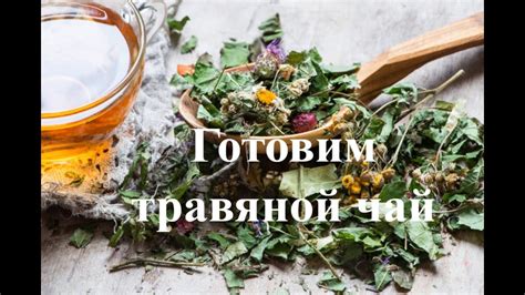 Как собирать травы для чая. Как сушить травы на чай. Как приготовить ...