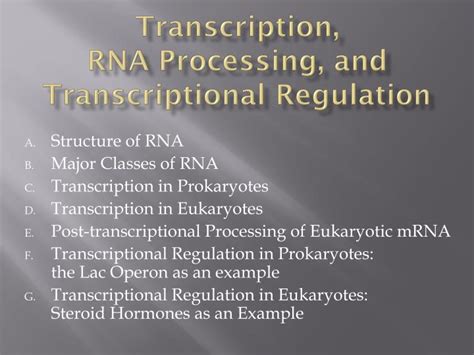PPT Transcription RNA Processing And Transcriptional Regulation PowerPoint Presentation ID