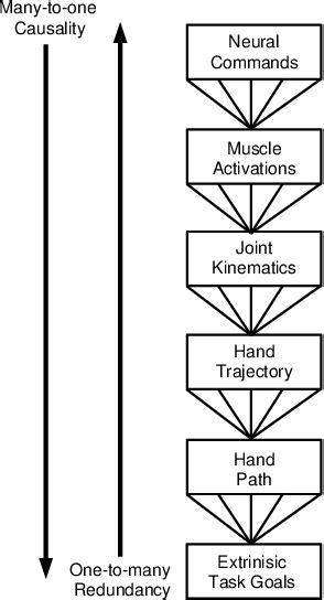 Figure 1 From Computational Motor Control Semantic Scholar