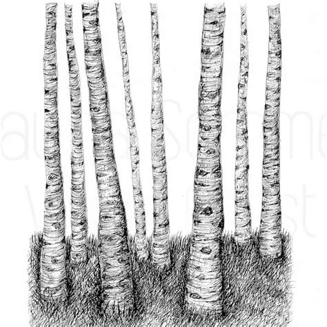 Aspen Tree Trunks Etsy