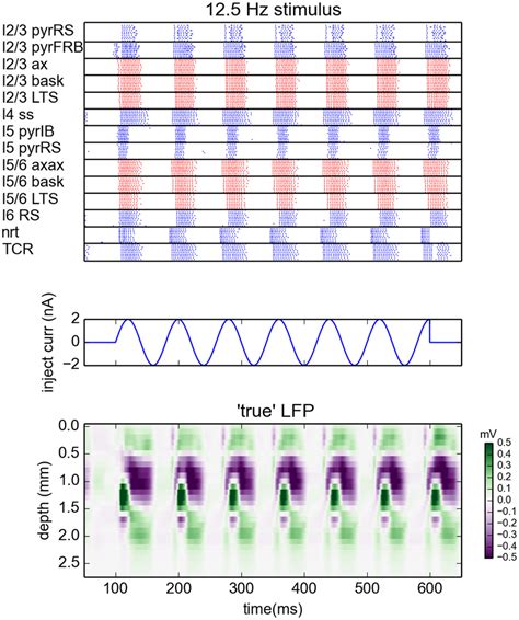 Generation Of Virtual Lfp Data Top Raster Plot Of The Network